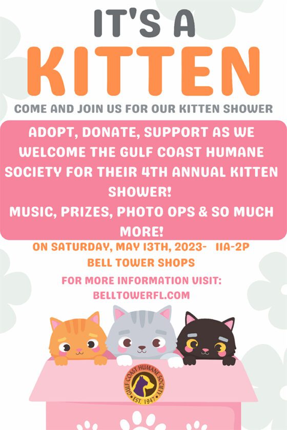 Kitten Shower at Gulf Coast Humane Society Saturday - Cape Coral Breeze
